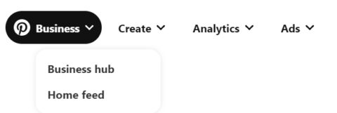 2021 Pinterest Interface Blog From Superwoman Virtual Assistant